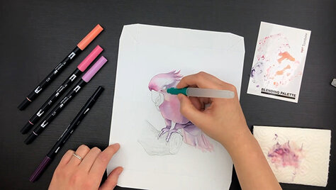 Tombow Europe: Paint a cockatoo with the Watercolouring Canvas Set | Tombow