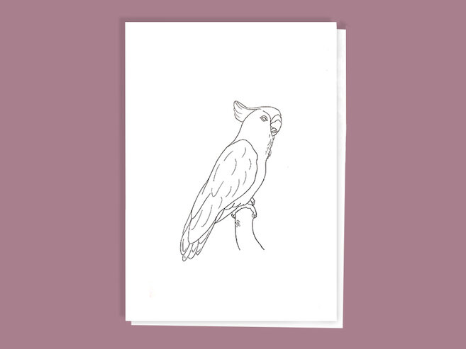 Tombow Europe: Paint a cockatoo with the Watercolouring Canvas Set | Tombow