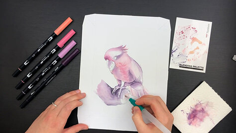 Tombow Europe: Paint a cockatoo with the Watercolouring Canvas Set | Tombow