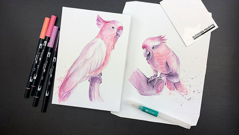 Tombow Europe: Paint a cockatoo with the Watercolouring Canvas Set | Tombow