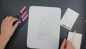 Tombow Europe: Paint a cockatoo with the Watercolouring Canvas Set | Tombow