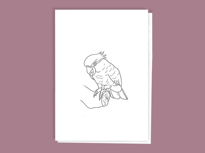 Tombow Europe: Paint a cockatoo with the Watercolouring Canvas Set | Tombow