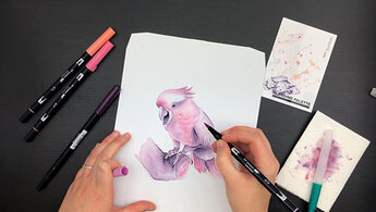 Tombow Europe: Paint a cockatoo with the Watercolouring Canvas Set | Tombow
